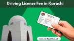 How to Check Driving License Sindh Through DLS Sindh